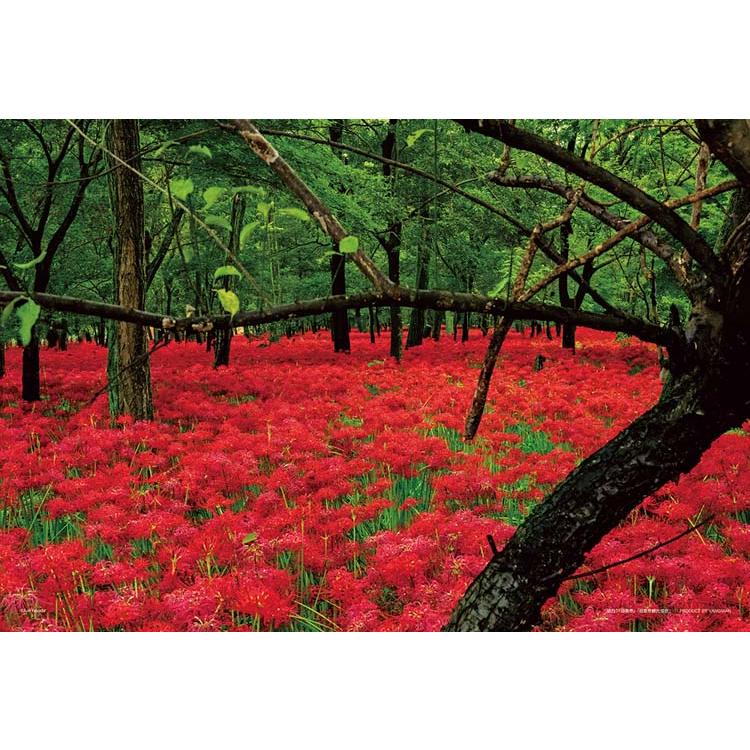 Jigsaw Puzzle Kinchakuda Red Spider Lily Park Saitama 300 Pieces YAM-0